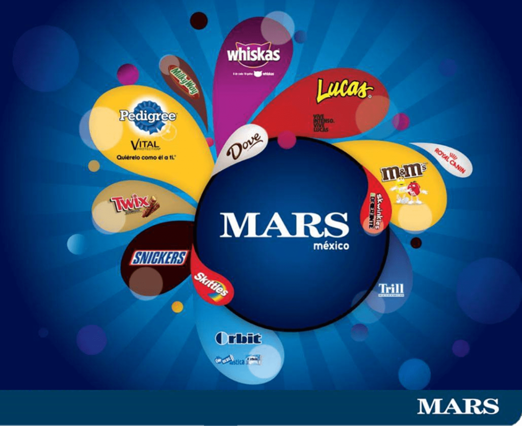 IE DISEÑO Y CONSTRUCCION – Diseño, Construcción y Mantenimiento de ...